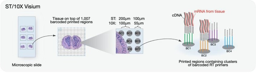 Transcriptome-wide or NGS-based approaches - France Génomique