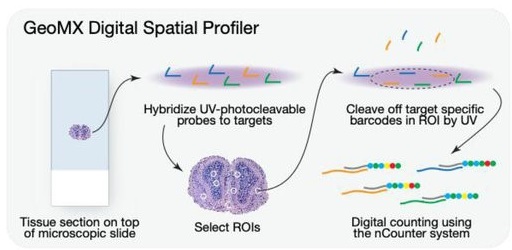 Transcriptome-wide or NGS-based approaches - France Génomique